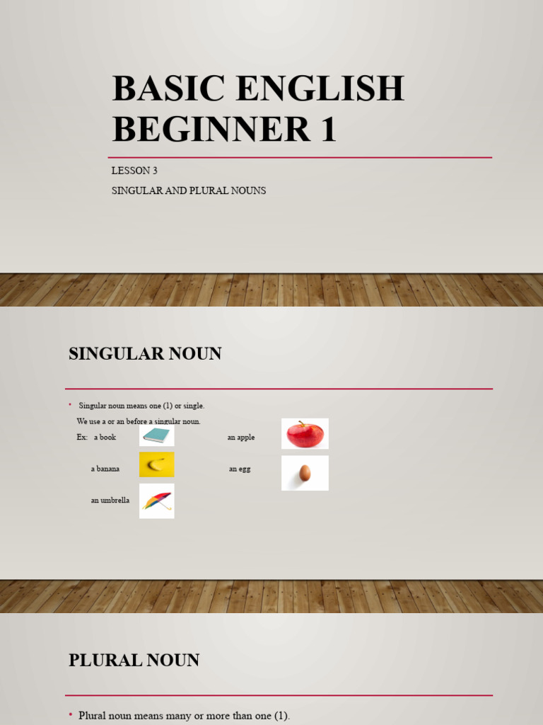 Singular and Plural Nouns Guide | PDF | Plural | Grammatical Number