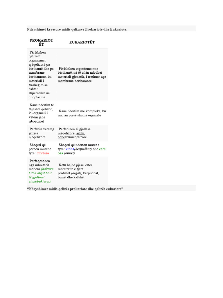 Document Filozofi | PDF