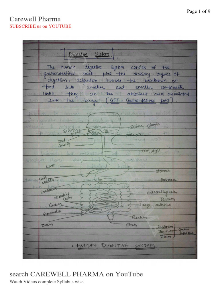 DIGESTIVE SYSTEM, HAP-2, | PDF