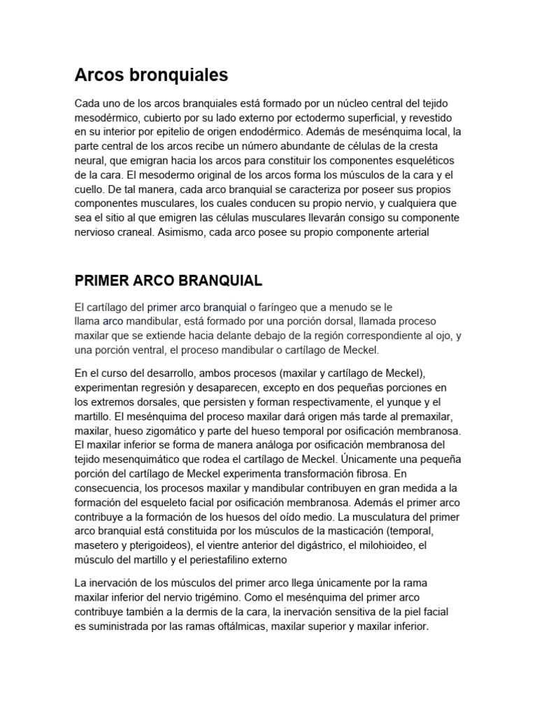 Estructura y desarrollo de arcos branquiales | PDF | Cráneo | Laringe