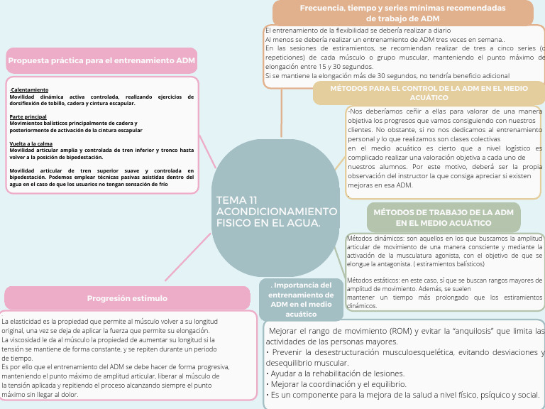 Mapa Conceptual Tema 11 | PDF | Flexibilidad (anatomía)