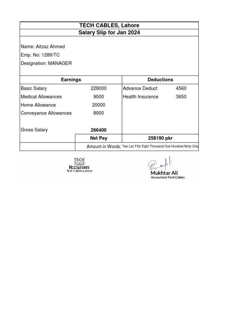 Manager Salary Slip - Jan 2024 | PDF