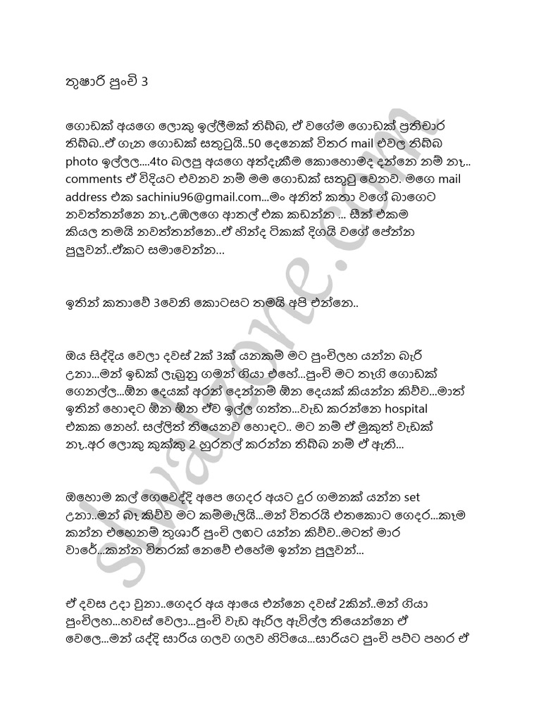 Thushari Punchi 03 | PDF