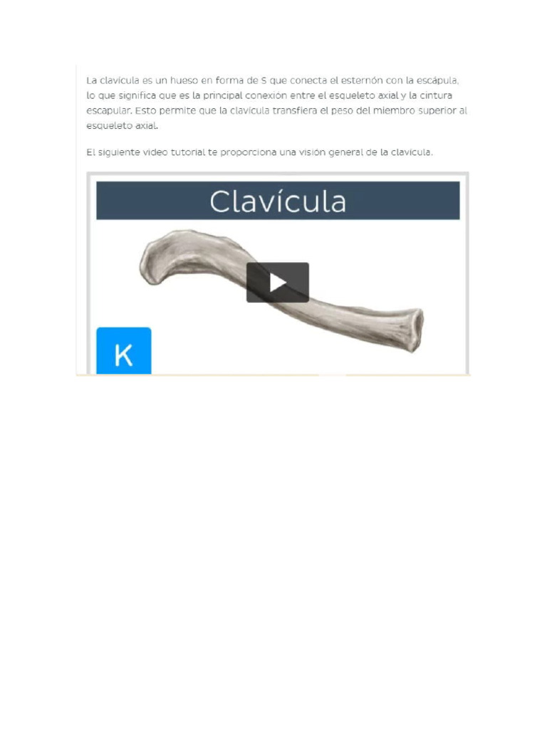 Anatomía y Fracturas de la Clavícula | PDF | Articulación | Hombro
