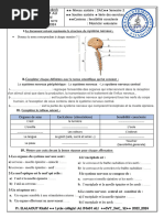 Contrôle SVT 3AC Semestre 2 | PDF | Nerf | Muscle squelettique