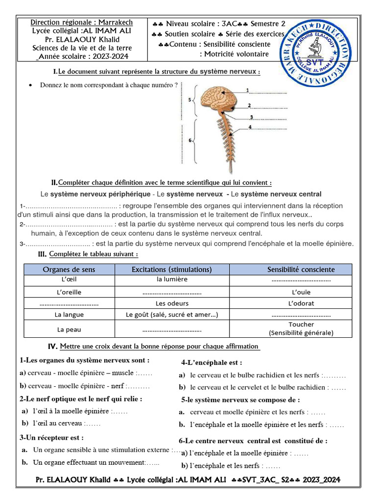Exercices sur le système nerveux 3AC | PDF | Système nerveux | Nerf
