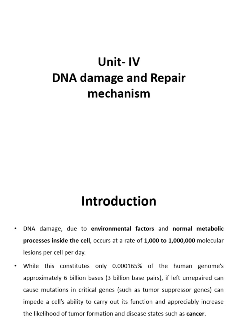 DNA Damage and Repair | PDF | Dna Repair | Dna