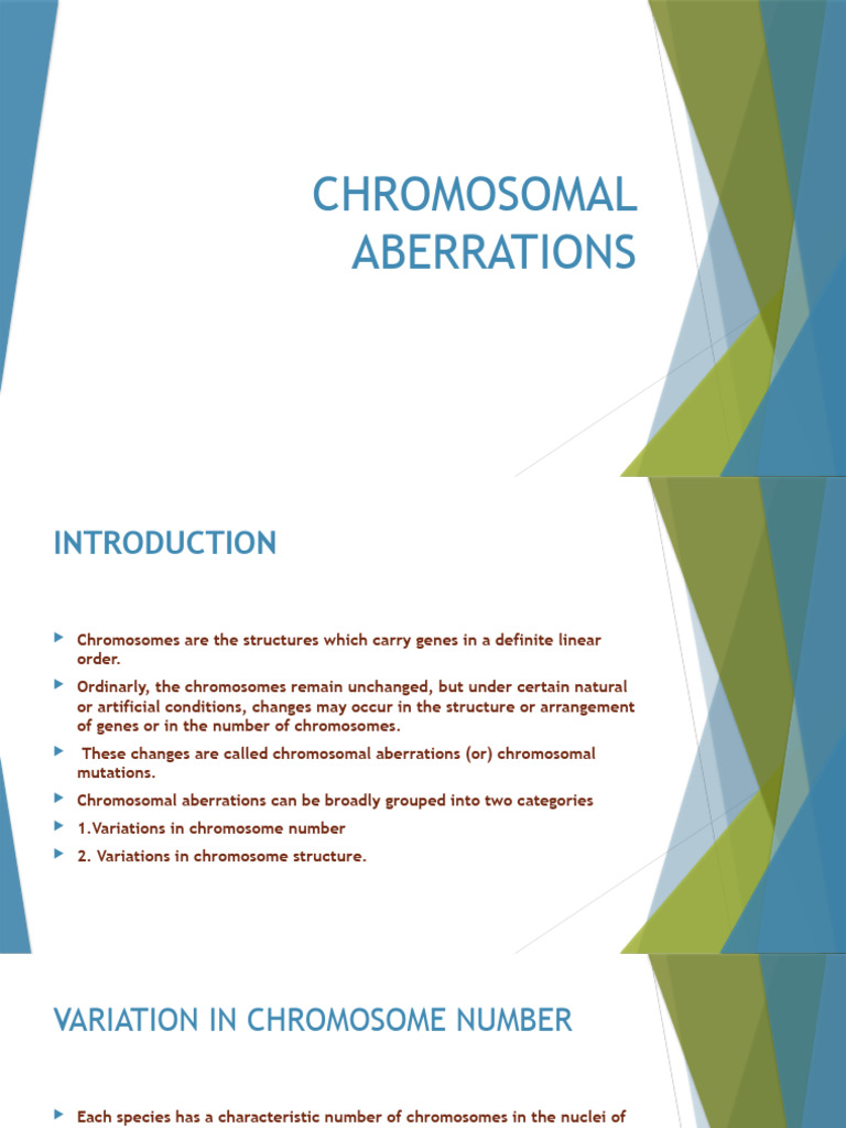Chromosomal Aberrations | PDF | Ploidy | Chromosome
