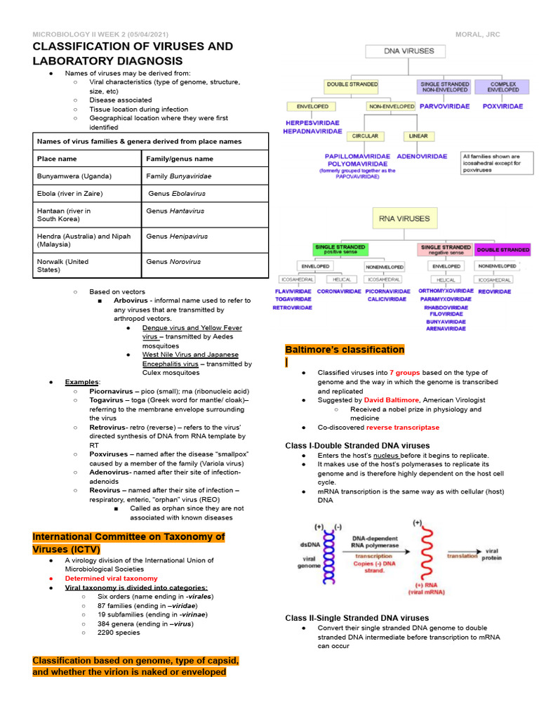 3 Classification of Viruses and Laboratory Diagnosis | PDF | Virus ...