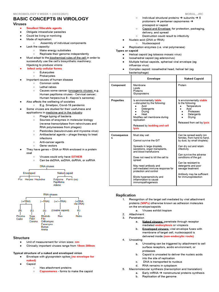 2 Basic Concepts in Virology | PDF | Bacteriophage | Virus