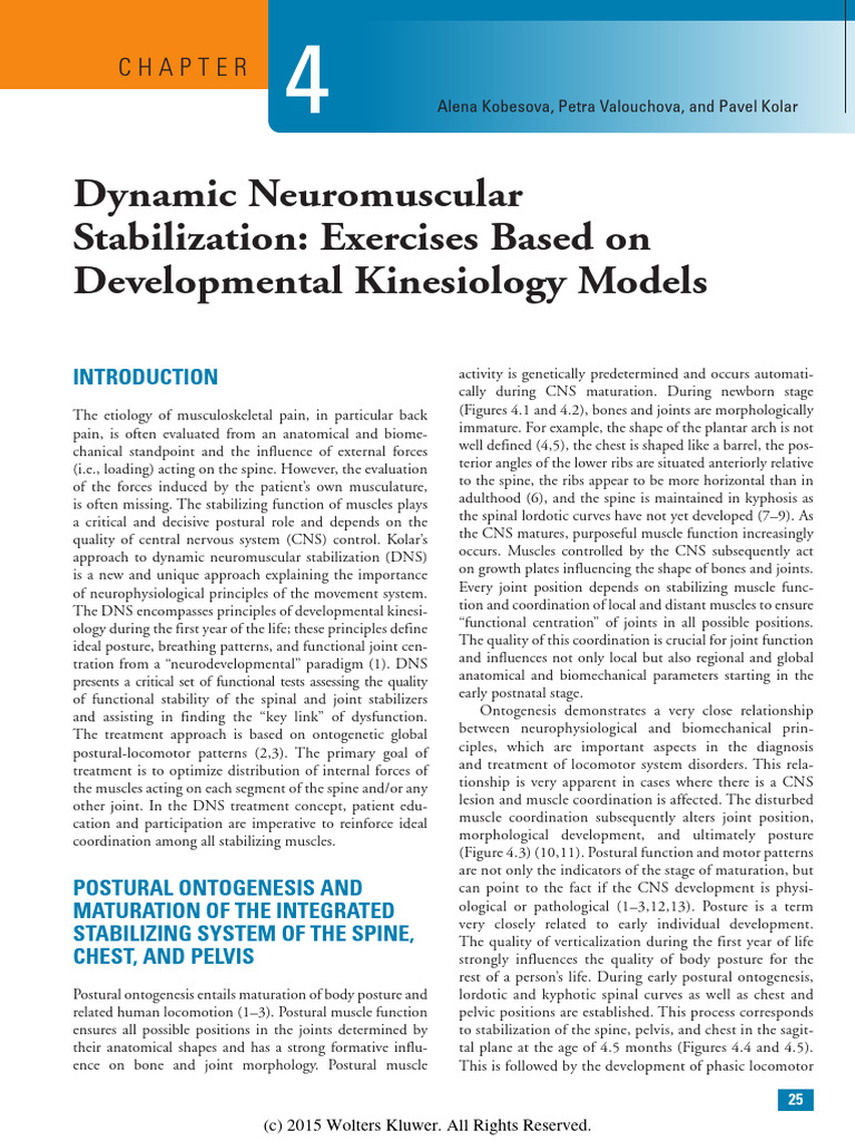 DNS Exercises - Kolar 2015 | Download Free PDF | Pelvis | Abdomen