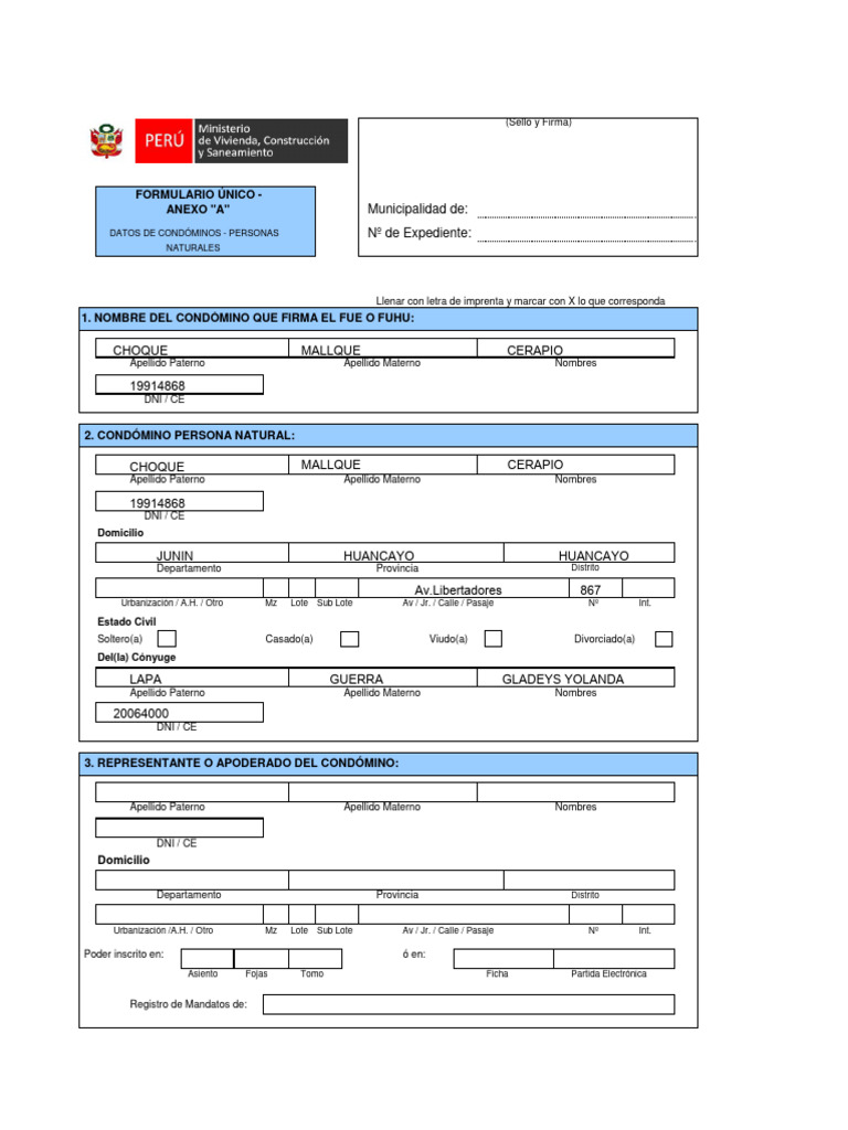 Anexo ACondominos Per Nat | PDF | Documento de identidad | Gobierno