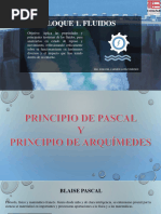 Álbum Fotográfico de Principio de Pascal y Arquímedes | PDF