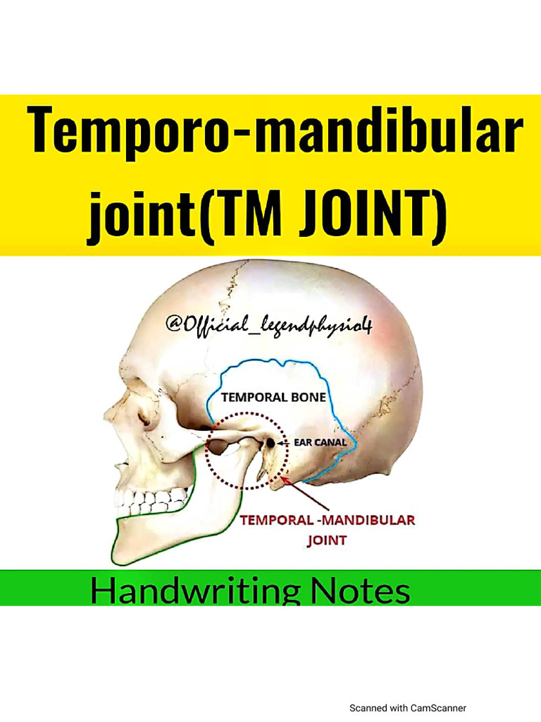 TM Joint | PDF