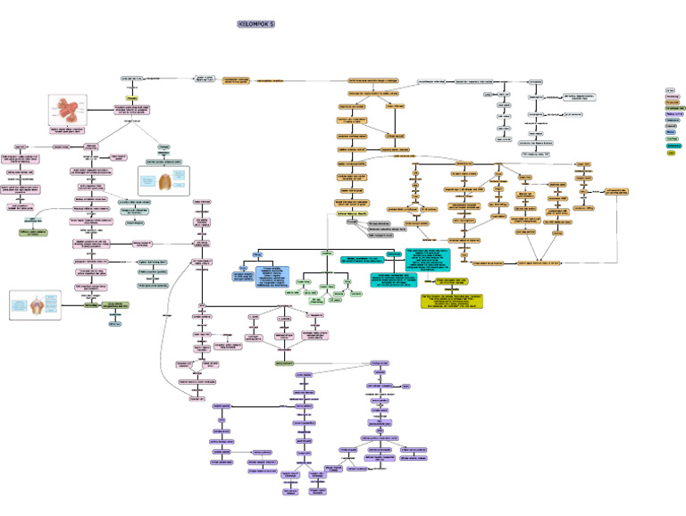 Peta Konsep Perjalanan Penyakit | PDF