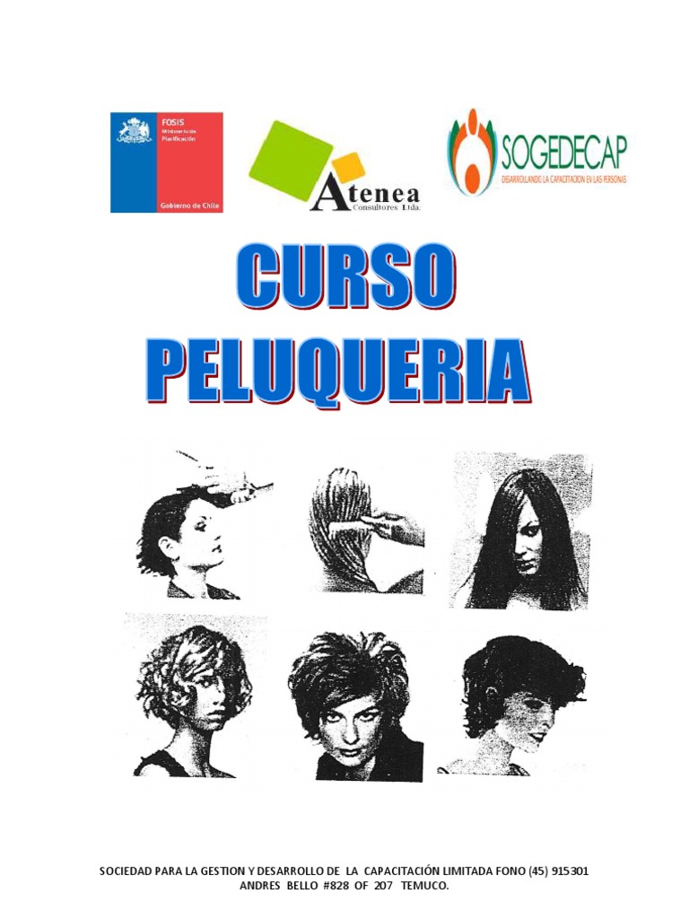 Manual de Peluqueria | PDF | Business | Science