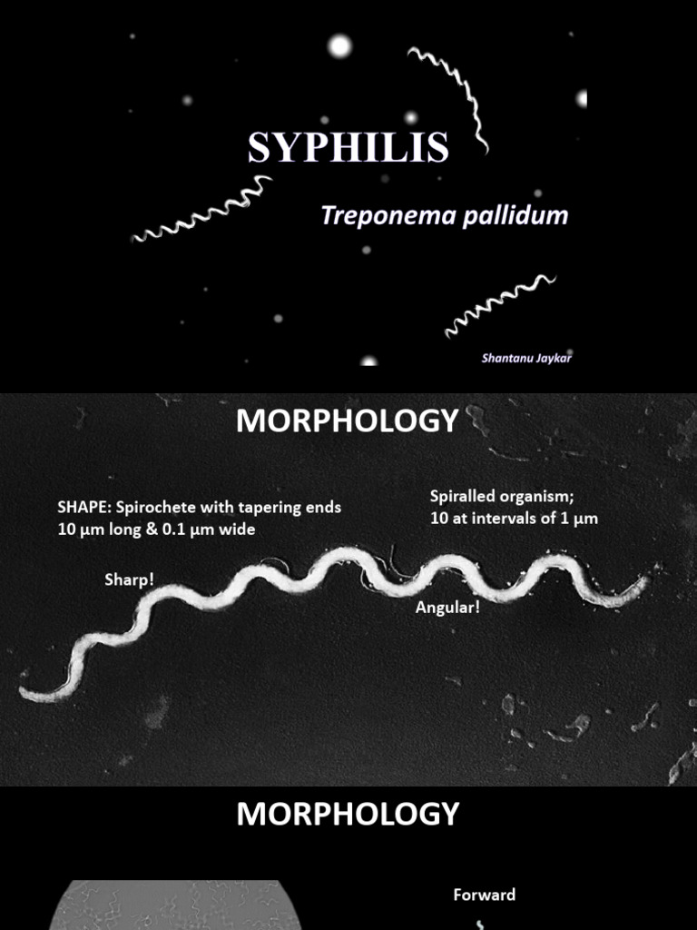 Understanding Syphilis: Causes, Stages, and Treatment | PDF | Animal ...