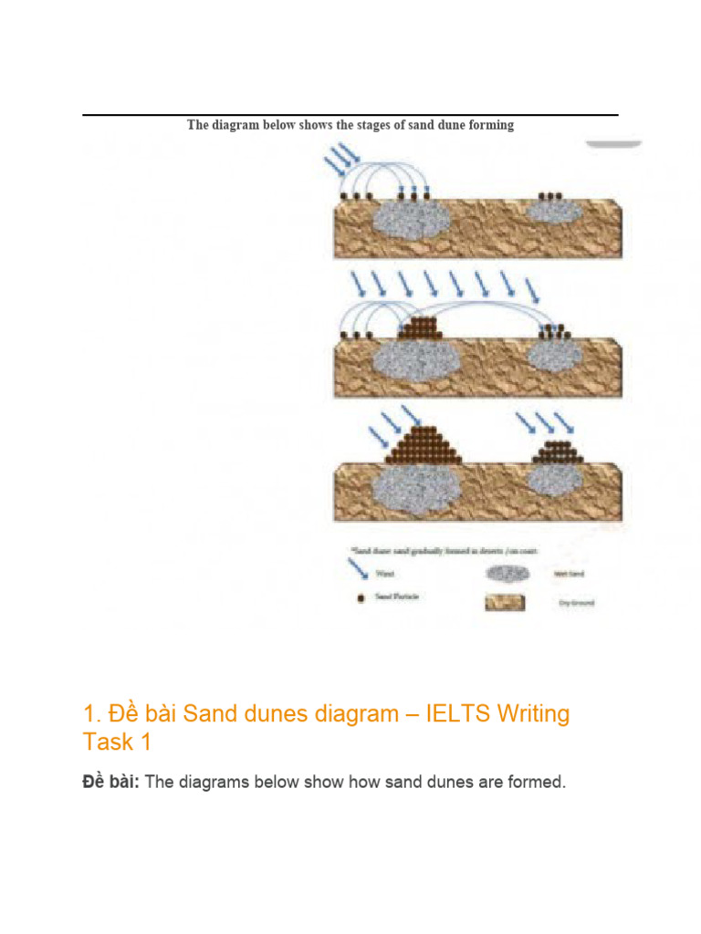 The Diagram Below Shows The Stages of Sand Dune Forming | PDF