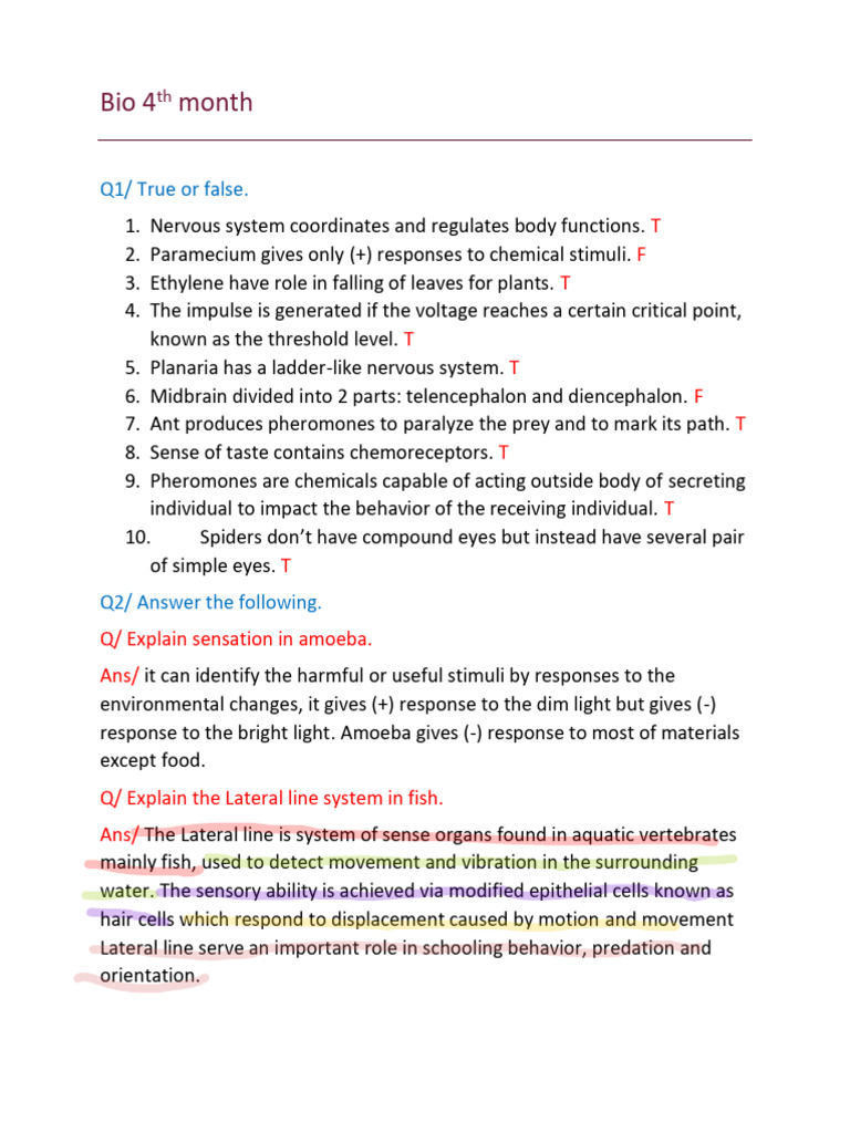 Bio 4 | PDF | Senses | Stimulus (Physiology)