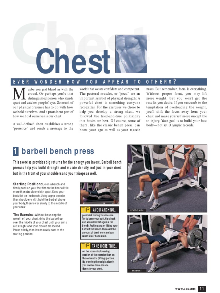Body For Life - Chest Training | Download Free PDF | Human Anatomy ...