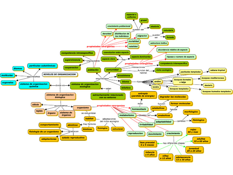 Niveles de Organizacion.cmap | PDF