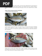 25 Types of Edible Fish | PDF