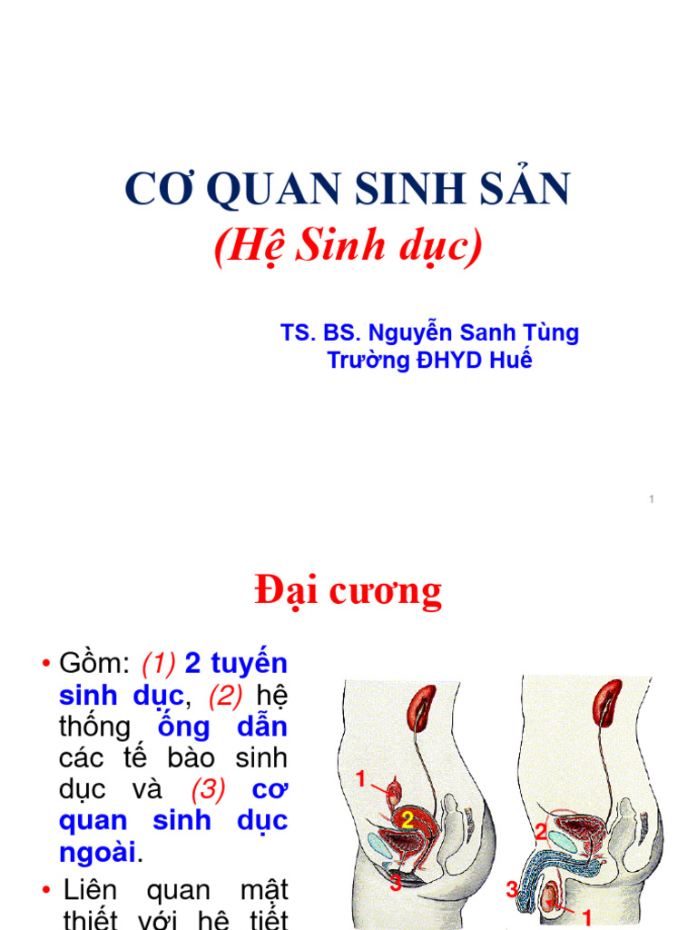 8 He Sinh Duc D 2t | PDF