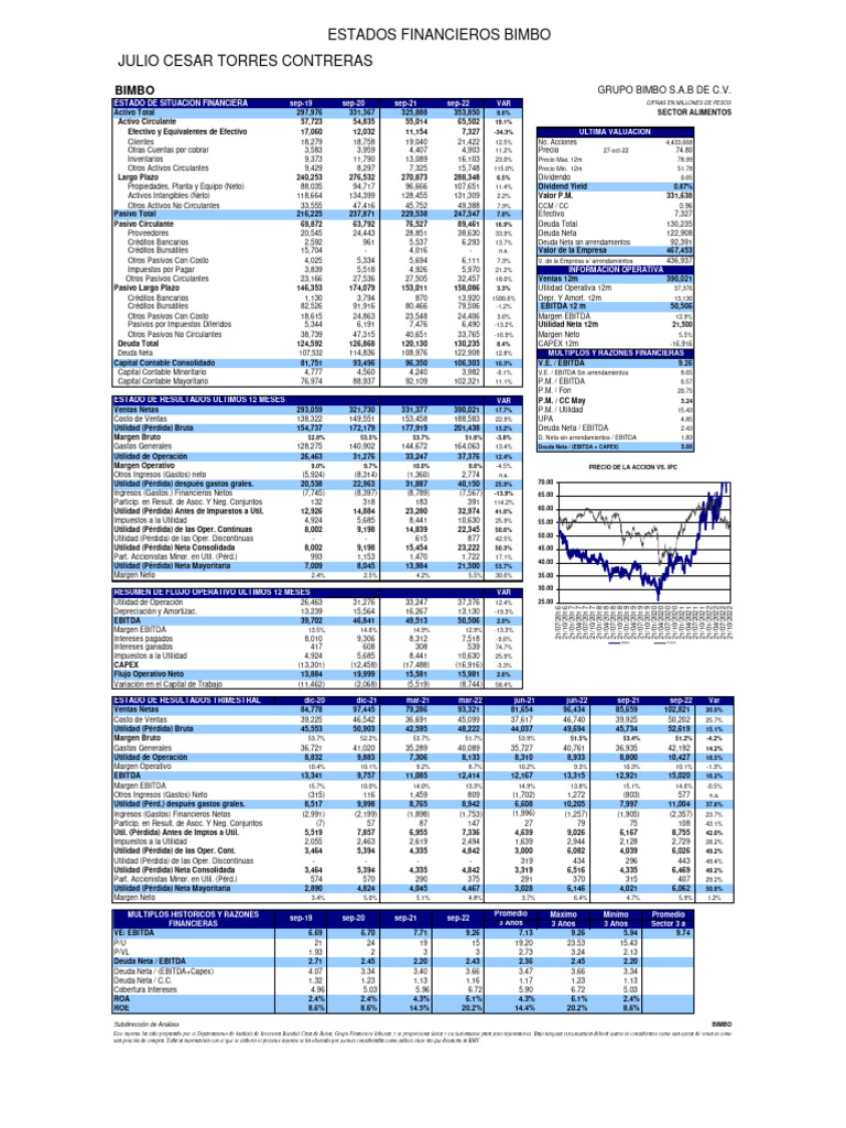 Estados Financieros-Bimbo | PDF | Estado de resultados | Capital (economía)