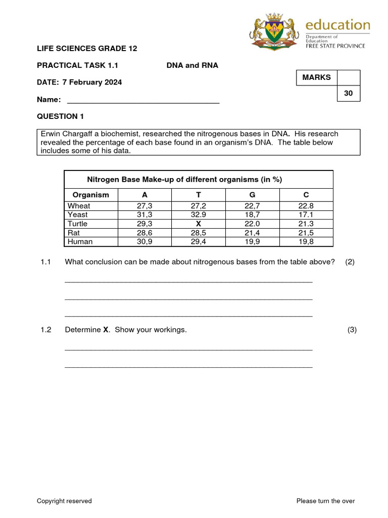 Ls GR 12 Prac 1.1 Feb 2024 QP Eng # | PDF | Genetic Code | Messenger Rna