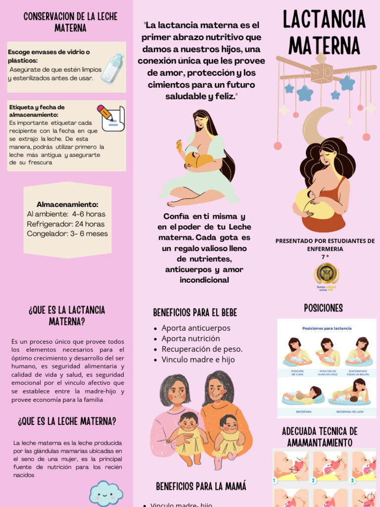 Folleto Lactancia Materna | PDF | La leche materna | Amamantamiento