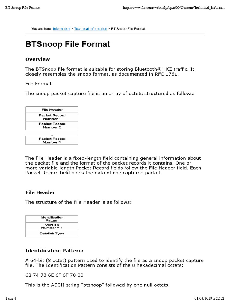 EN - Fte - Com - BT Snoop File Format | PDF | Integer (Computer Science) | File Format