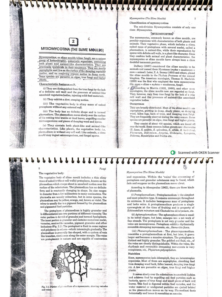 Life Cycle | PDF
