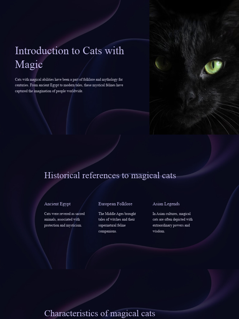 Theory of cats with magic | PDF | Cats | Folklore