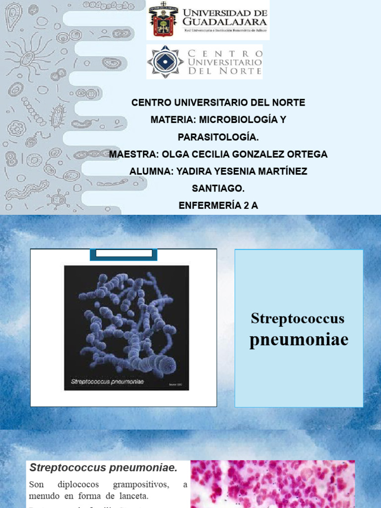 Streptococcus Pneumoniae | PDF | Especialidades Medicas | Salud pública