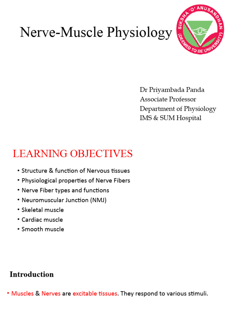 Nerve Muscle Physiology 1 | PDF