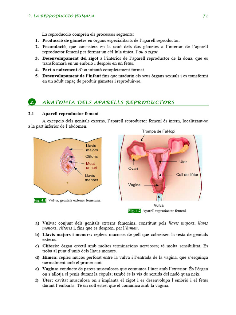 Dossier CCNN 3r ESPA 071 | PDF