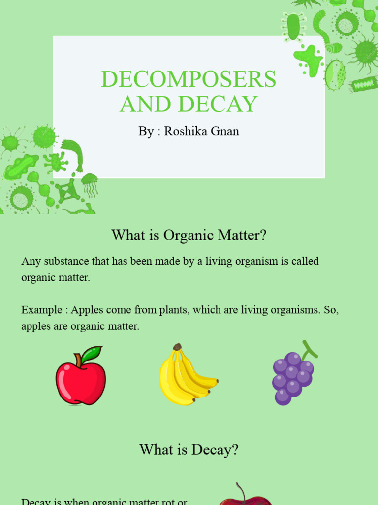 Decomposers and Decay | PDF