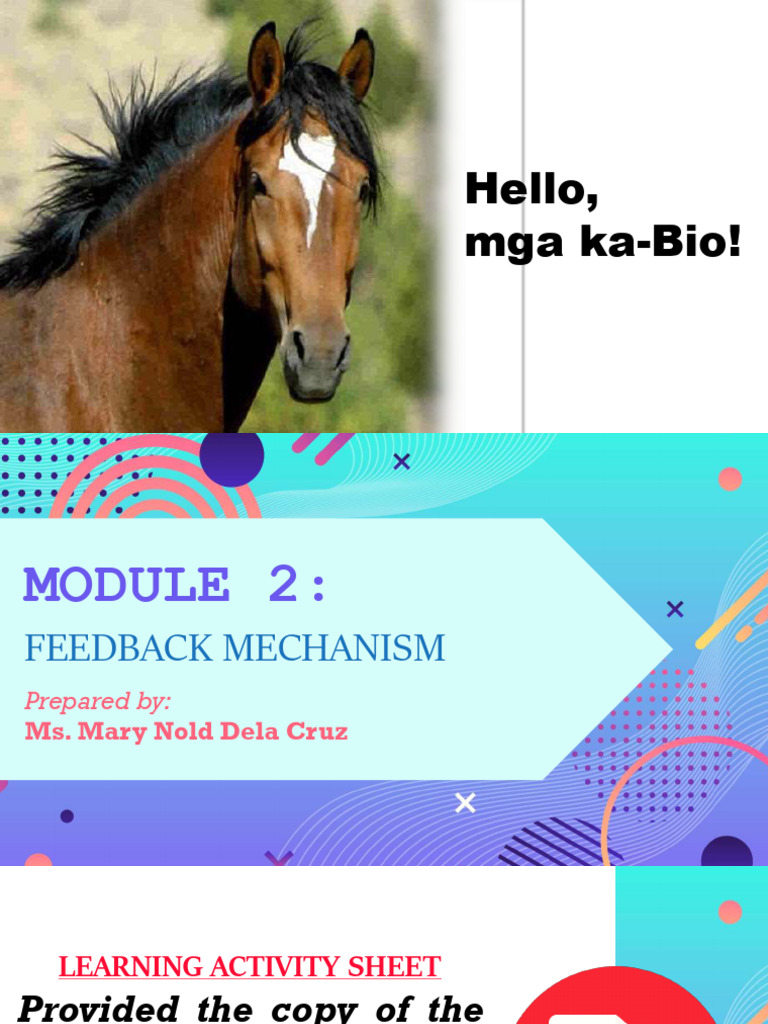 Module 2 - Lesson 1 - Feedback Mechanism | PDF | Homeostasis ...