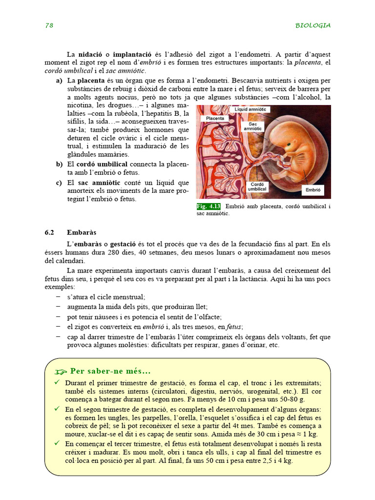 Dossier CCNN 3r ESPA 078 | PDF