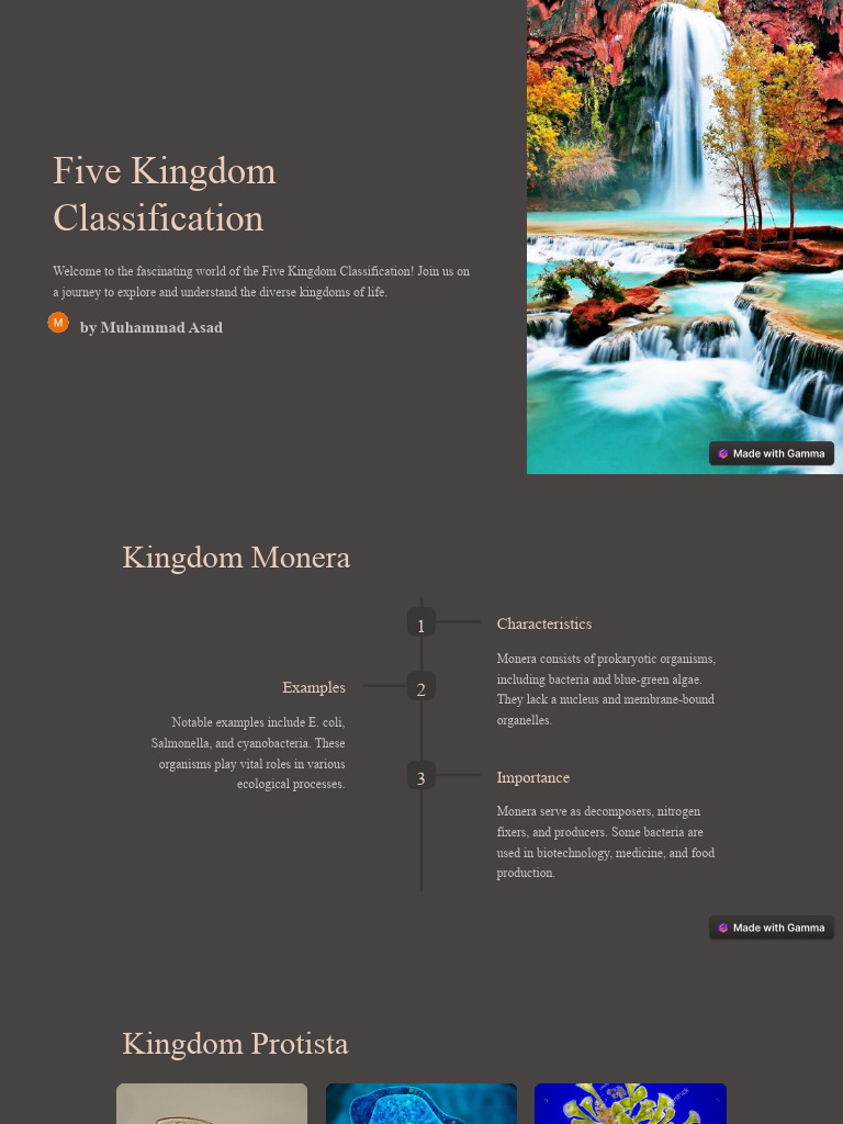 Five-Kingdom-Classification | PDF | Fungus | Life