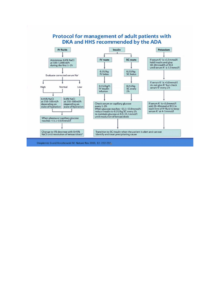 Protap Hiperglikemi | PDF