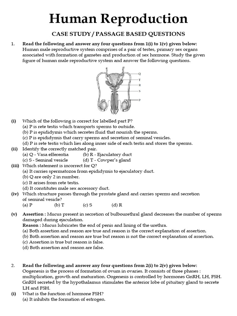3.human Reproduction Case Study and A & R Type | PDF | Menstrual Cycle ...