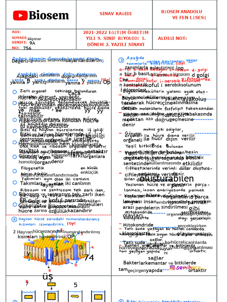 Biosem 2. Dönem 1. Yazılı 9. Sınıf | PDF