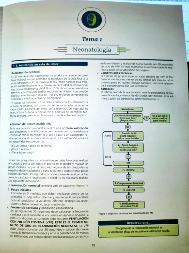 Neonato Atencion Amir | PDF | Reanimación cardiopulmonar | Infantes Neonato Atencion Amir | PDF | Reanimación cardiopulmonar | Infantes