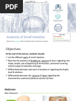 Sea Turtle Digestive System Anatomy | PDF | Gastrointestinal Tract ...