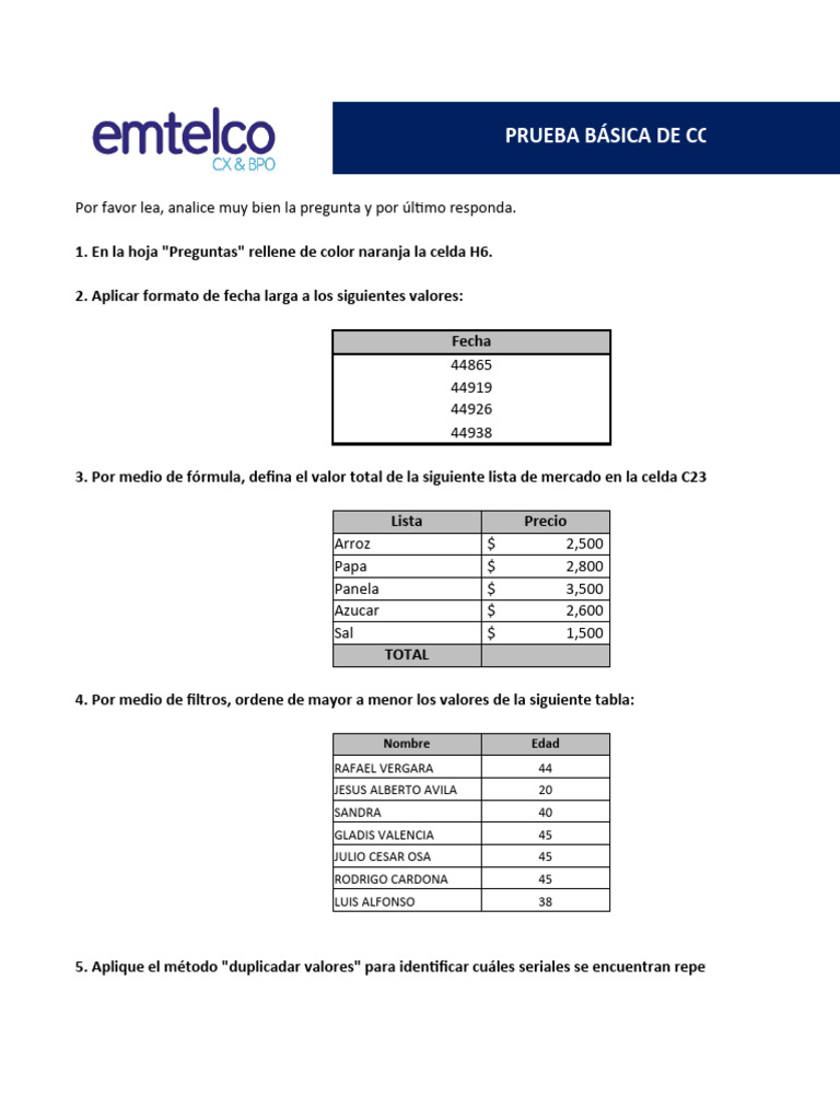 Prueba de Excel - Básico | PDF