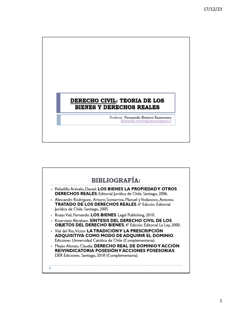 LOS BIENES - Diapositivas Clases Final | PDF | Propiedad | Dominio eminente
