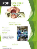 Tema 3. - Incisiones y Colgajos | PDF | Odontología | Biopsia