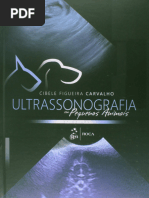 IRIS - Pocket - Guide - To - CKD - 2023 TRADUZIDO | PDF | Creatinina ...