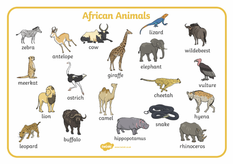 African Animals Word Mat | PDF